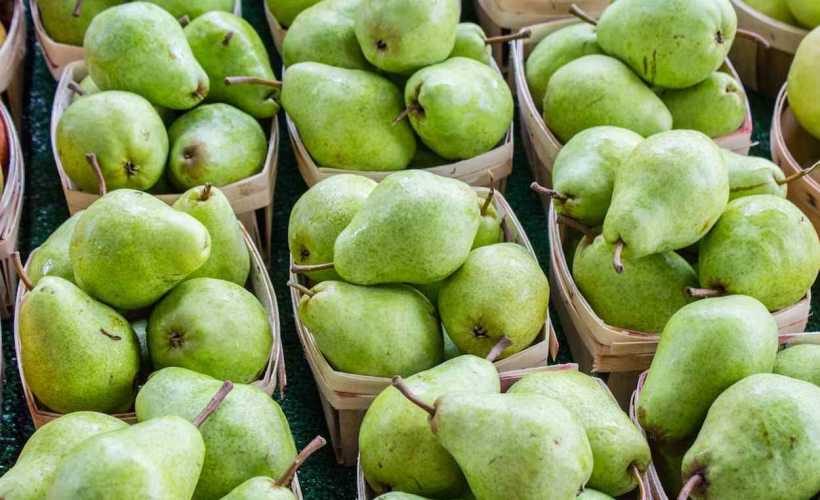 Pair programming : apprenez à coder en binôme